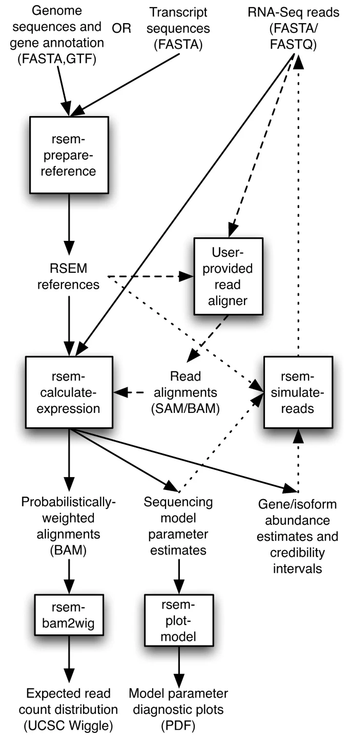 rsem – Bioinformatics guidance page
