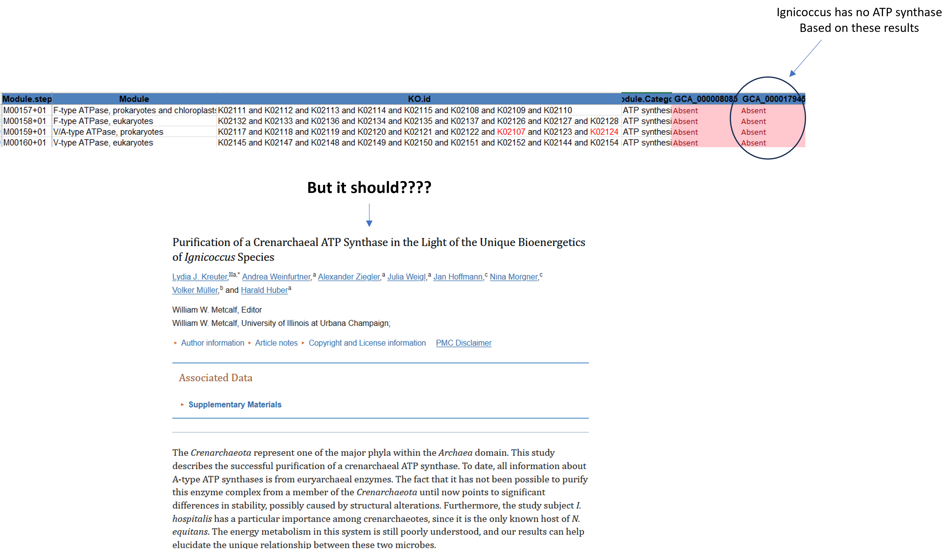 metabolic – Bioinformatics guidance page