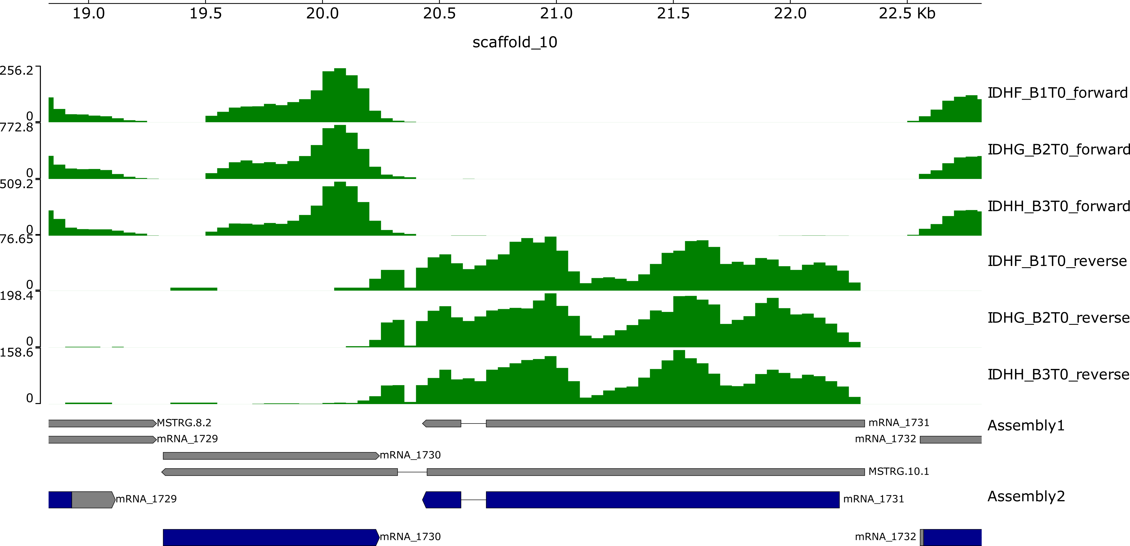 pygenometracks – Bioinformatics guidance page