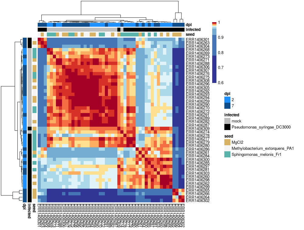 Exploration of RNA-seq count results – Introduction to RNA-seq
